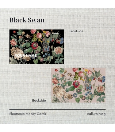 E-MONEY / FLAZZ CARD - CLASSICA - ALLURA