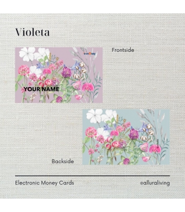 E-MONEY / FLAZZ CARD - CLASSICA - ALLURA